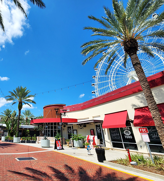 ICON Park's palm trees frame the Orlando Eye, just steps from the Museum of Illusions. Florida sunshine and mind-bending illusions—a perfect vacation combo.