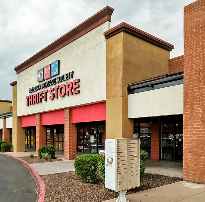 From this angle, you'd never guess the wonderland of bargains waiting inside this unassuming storefront in Mesa's retail landscape.