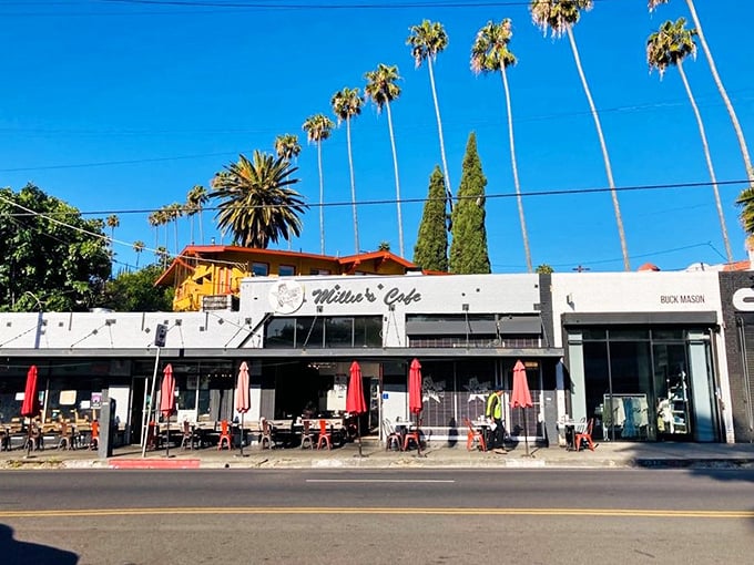 Palm trees stand like sentinels guarding this temple of breakfast. Millie's white facade and red umbrellas beckon hungry pilgrims from across Los Angeles.
