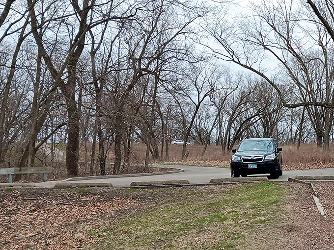 The winding park roads reveal new vistas around every curve. Your car becomes a time machine to prehistoric Illinois landscapes.