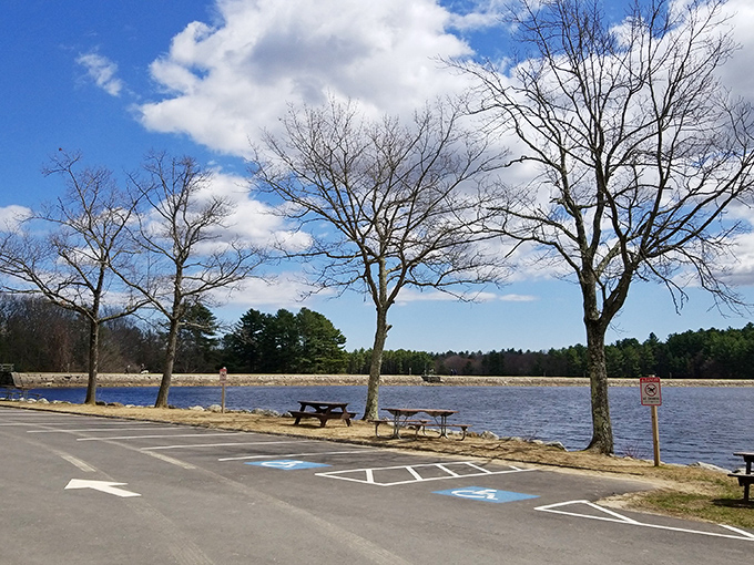Even in early spring, these bare trees frame the reservoir with stark beauty &ndash; nature's version of a minimalist art installation.