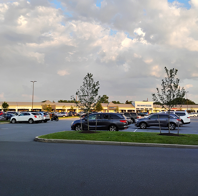 As evening approaches, the parking lot tells tales of successful expeditions&mdash;each car waiting to transport new treasures home.