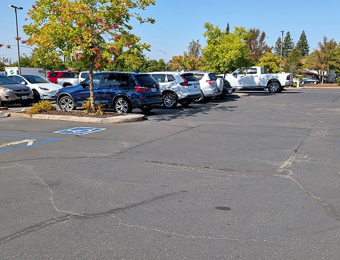 The parking lot fills with cars as treasure hunters arrive, each one hoping to leave with trunks full of bargains.