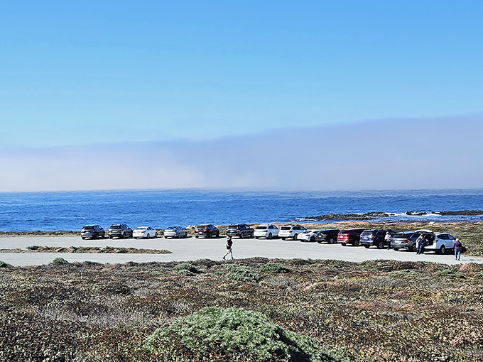 The parking area offers front-row seats to the Pacific's endless performance &ndash; no ticket required, just good timing.