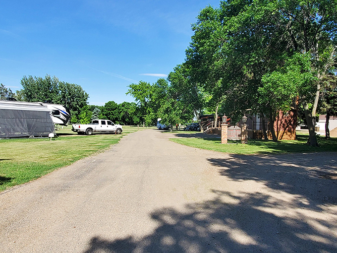 The road to relaxation is paved with... well, not much, and that's precisely the point at Fisher Grove's peaceful camping area.