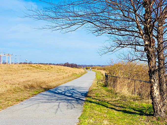 The path less traveled, yet perfectly maintained. Fox Point's trails offer the ideal balance of wilderness adventure without the need for hiking boots or bear spray.