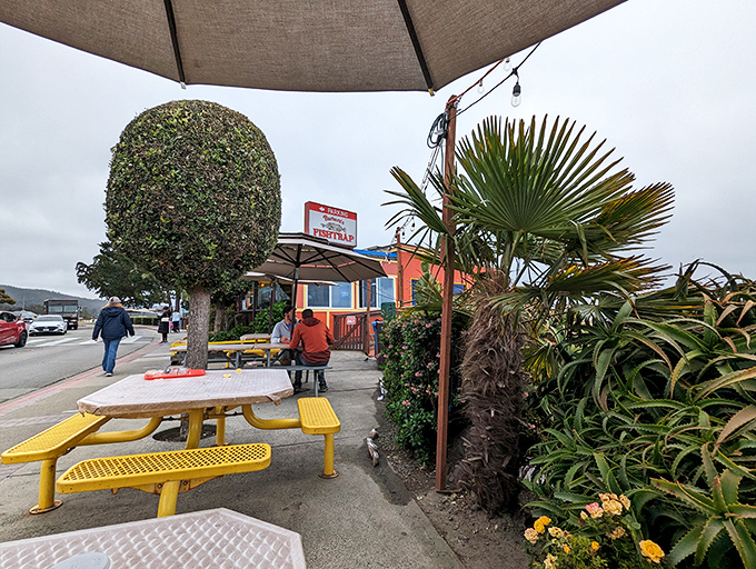 Outdoor seating with ocean breezes and yellow picnic tables &ndash; dining al fresco never looked so cheerfully inviting or deliciously promising.