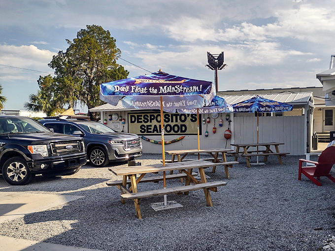 Don't Fear the MainStream! proclaims the banner, though nothing about this beloved seafood joint has ever risked being mainstream or ordinary.