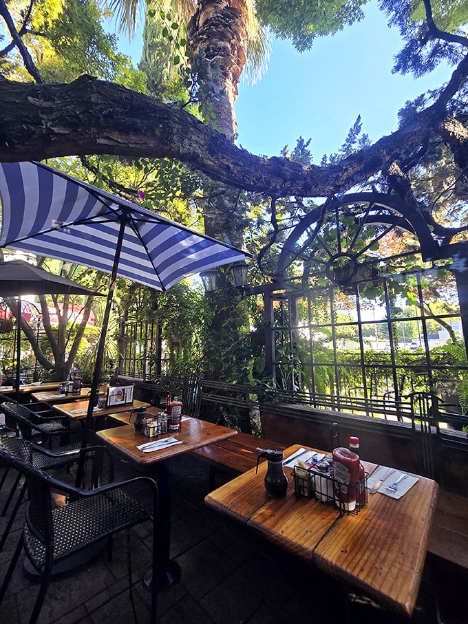 The patio&mdash;where dappled sunlight filters through ancient branches, turning an ordinary meal into a scene from a California daydream.