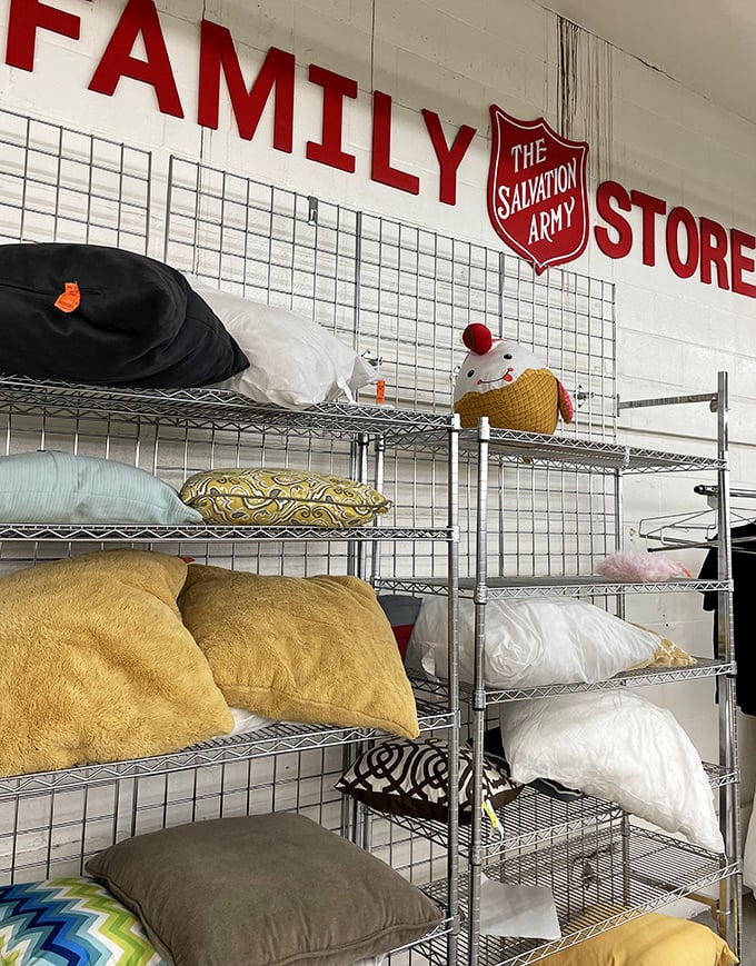 The pillow section: where comfort meets affordability, and nap enthusiasts find their dreams without emptying their wallets.