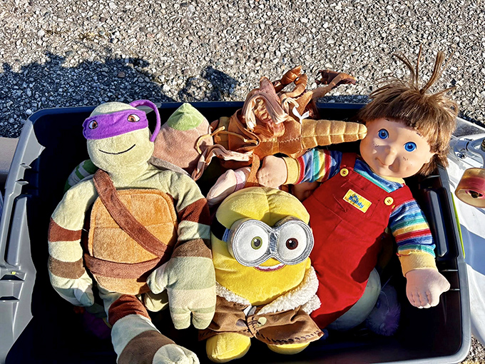 Childhood companions seeking second homes! This bin of plush pals includes a Ninja Turtle, Minion, and even Chucky—friends for a new generation.