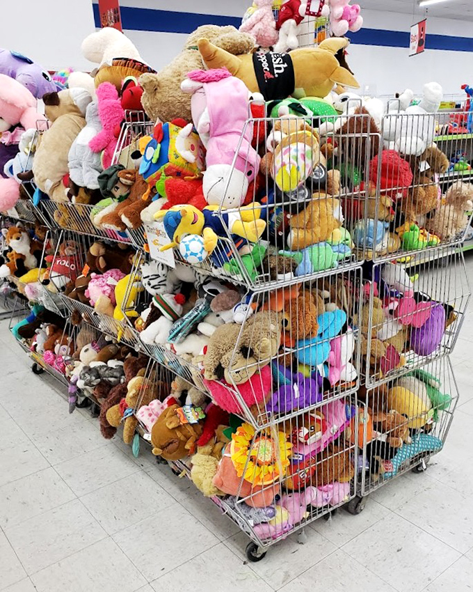 The stuffed animal corral - where previously-loved teddy bears and plush pals hope for second-chance cuddles with new owners.
