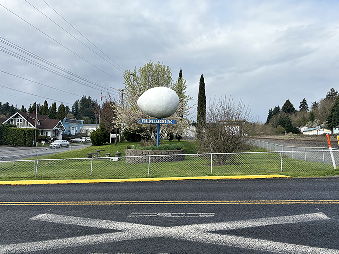 The road markings leading to Winlock's famous attraction remind drivers to slow down&mdash;you don't want to scramble past the World's Largest Egg!