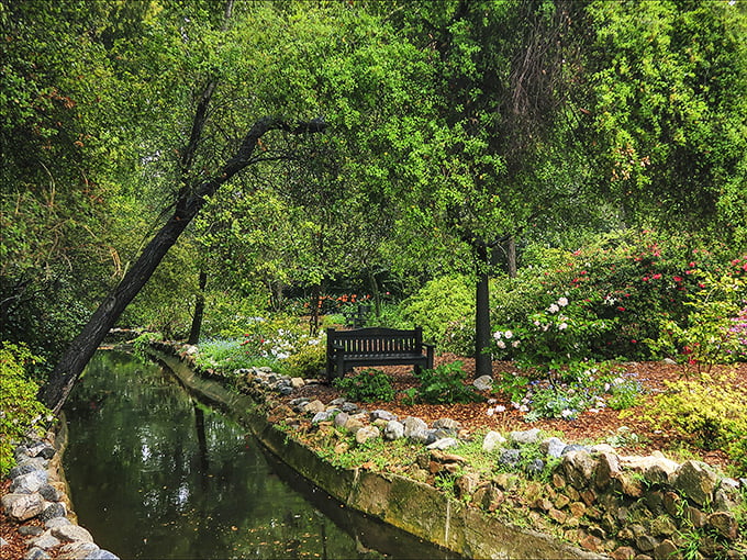 A peaceful stream meanders beneath overhanging trees. This quiet corner offers the perfect spot for literary inspiration or simply daydreaming.