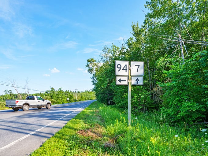 Rural Maine roads: where GPS is more suggestion than necessity and getting lost might be the best part of your day.