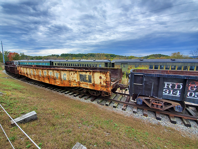 Nature slowly reclaims these rusting freight cars, creating an oddly beautiful tableau of industrial history returning to the earth.