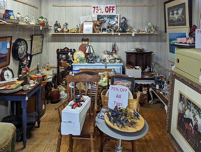 Clearance corner: where patience rewards the persistent treasure hunter. At 75% off, that ceramic bear you didn't know you needed suddenly seems essential.