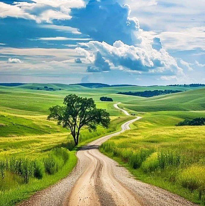 That dirt road isn't just a path—it's an invitation to discover what lies beyond the comfortable and familiar.