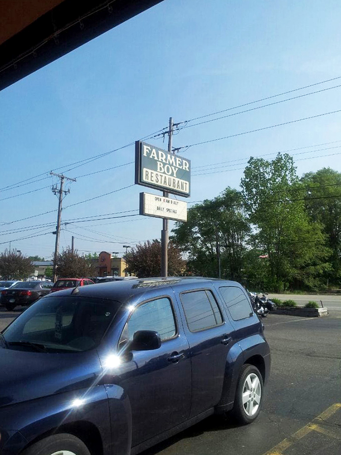 The roadside sign stands tall against blue skies, a landmark for locals who give directions like "turn right at the Farmer Boy."