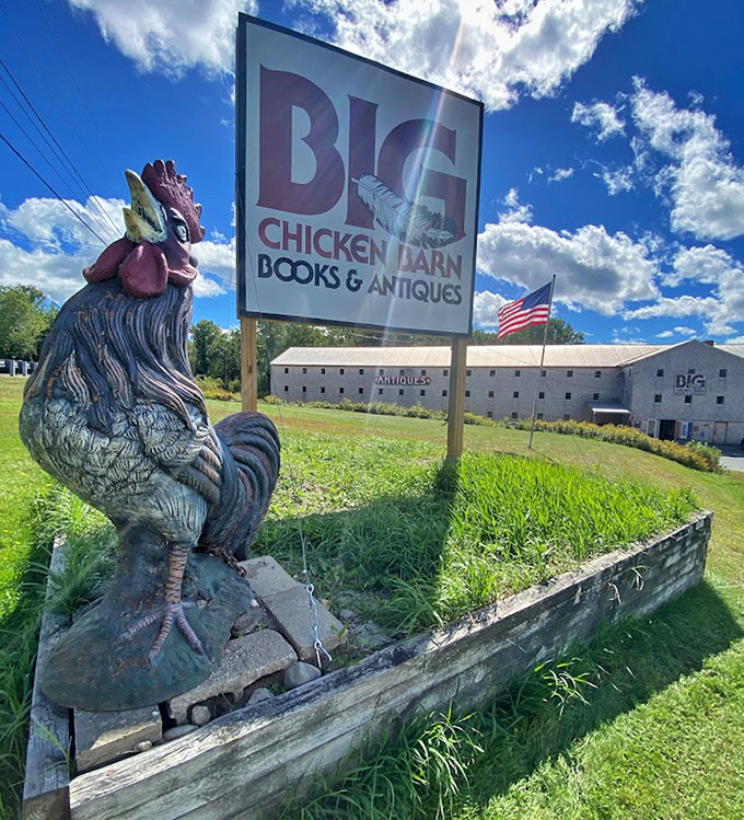 The Big Chicken Barn sign gleams against Maine's impossibly blue sky – a beacon for those seeking the thrill of the find.