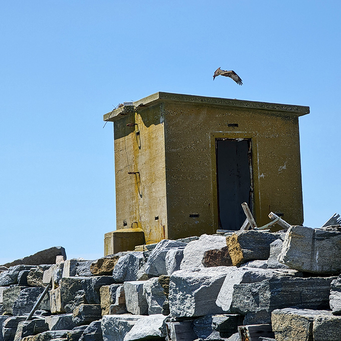 This unassuming structure on the breakwater has witnessed more maritime history than most history books could contain.
