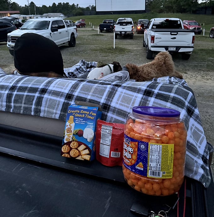 Cheese balls and a cozy blanket with your furry co-pilot &ndash; you've mastered the art of drive-in comfort and snacking.