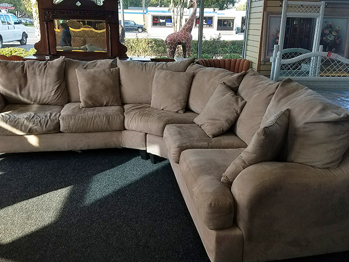 That sectional sofa could swallow a family of five&mdash;comfort measured in square footage and cushion depth.