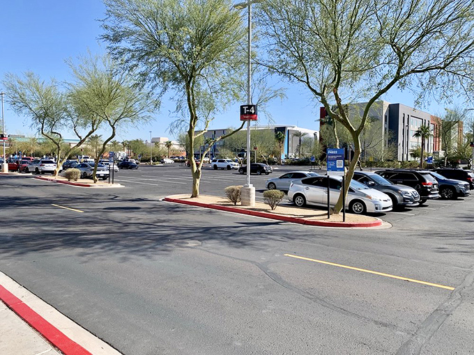 A parking lot designed by someone who understands the sacred relationship between car doors and paint jobs.