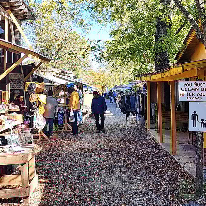 The outdoor alley of vendors creates a gauntlet of temptation. Every few steps presents another opportunity to lighten your wallet.