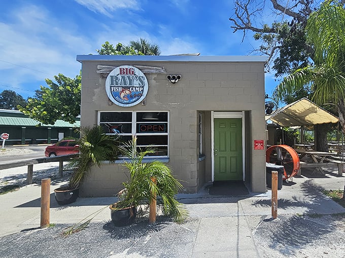 Palm trees and picnic tables welcome you to Tampa's least pretentious spot for the city's most serious seafood.