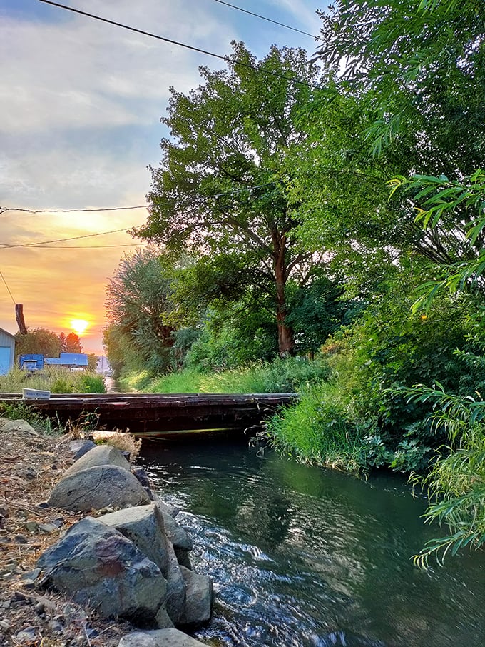 Wilson Creek flows peacefully at sunset, reminding visitors that not everything worthwhile requires effort or admission fees to enjoy.