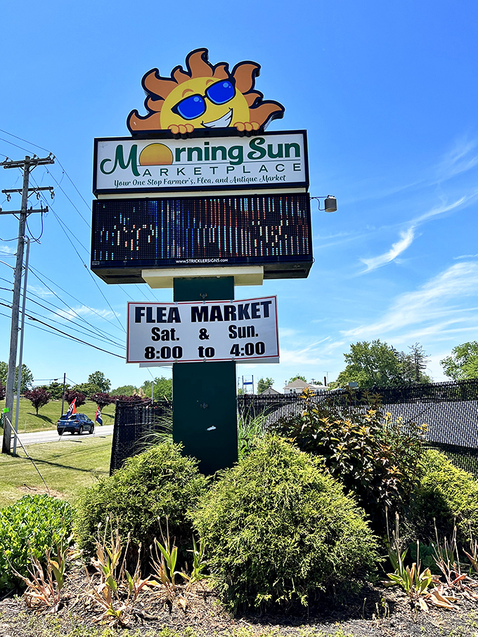 The cheerful Morning Sun sign promises weekend treasure hunting from 8 to 4. That smiling sun knows exactly what you'll find inside.