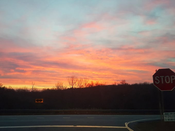 South Carolina sunsets perform a daily magic show that makes you forget whatever was stressing you out approximately 30 seconds ago.