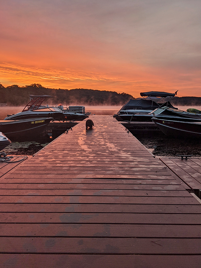 Dawn's fiery farewell reflected in still waters. Bomoseen's docks frame this spectacular sunset, proving that endings can sometimes be the most beautiful beginnings.
