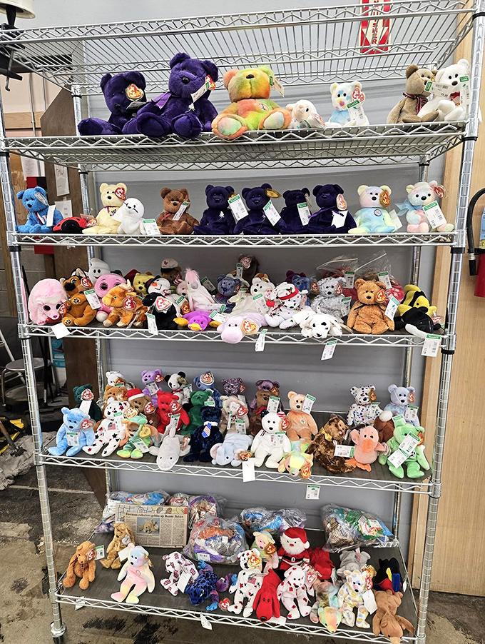 The stuffed animal section—where retired Beanie Babies and teddy bears wait patiently for their next cuddle adventure.