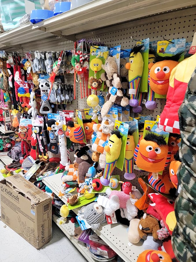 Sesame Street meets savings! These beloved characters cost less than a week of HBO Max&mdash;and they'll entertain for years.