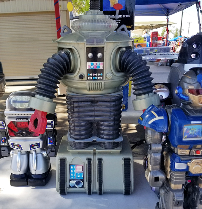 "Danger, Will Robinson!" Vintage robots and action figures standing at attention, ready to march straight into the heart of any collector's display case.