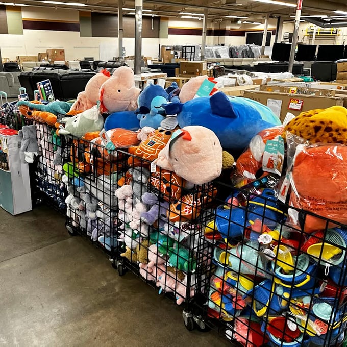 Stuffed animal adoption center! These plush companions are just waiting to become someone's favorite bedtime buddy.