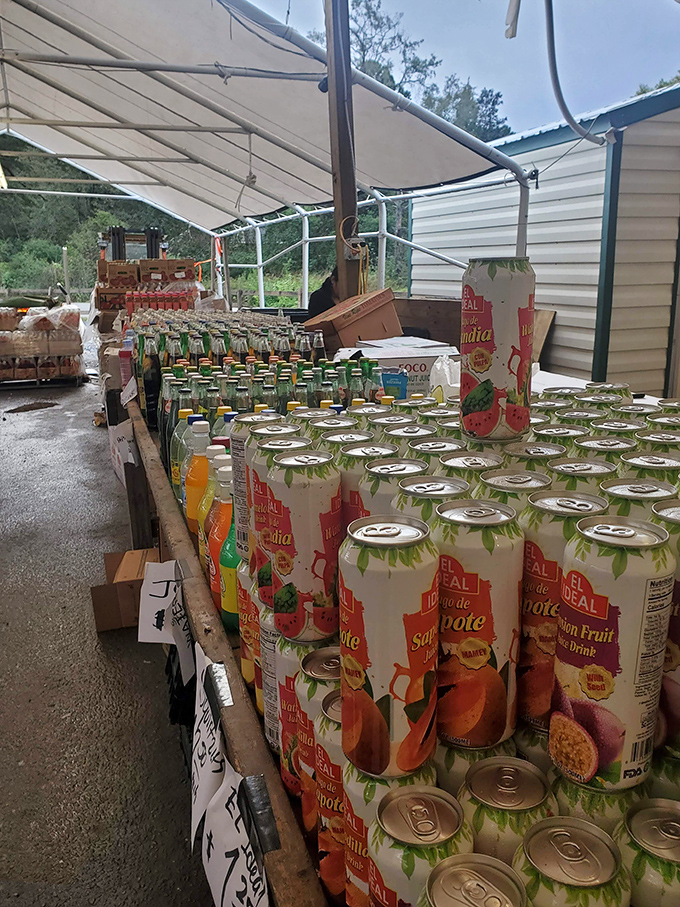 Exotic fruit drinks in colorful cans create a rainbow of refreshment options, perfect for quenching your thirst after hours of bargain hunting.