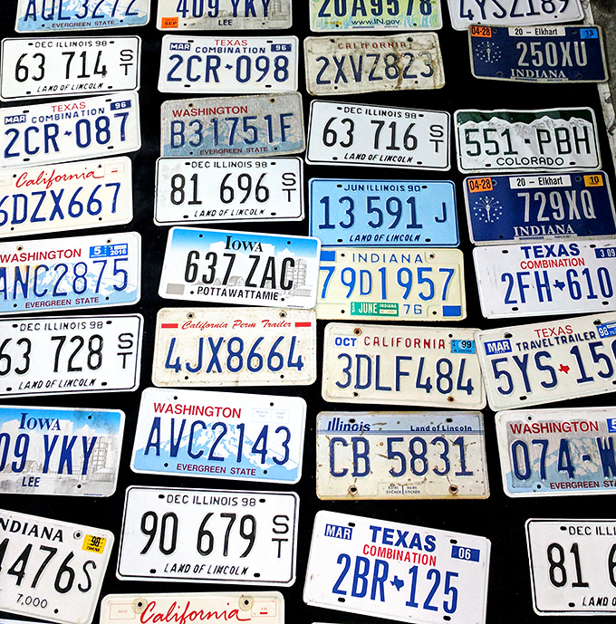 License plate bingo across America! Each dented, sun-faded plate represents road trips, family vacations, and cars that became characters in their owners' life stories.