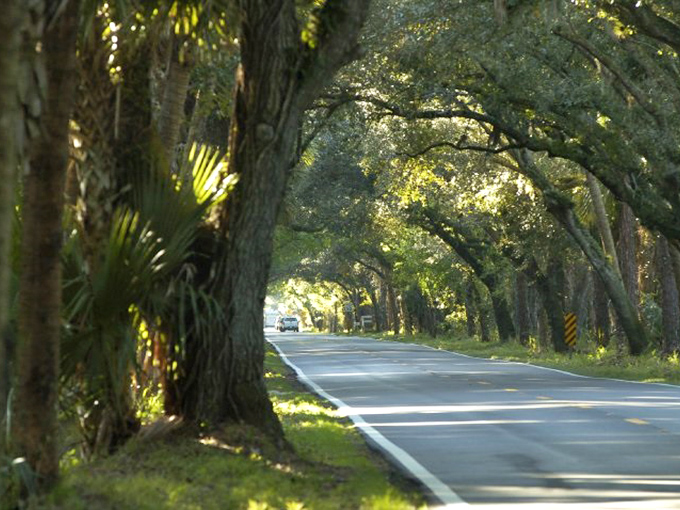 Golden hour transforms the Grade into a scene worthy of a Hollywood film, where every shadow tells a story.