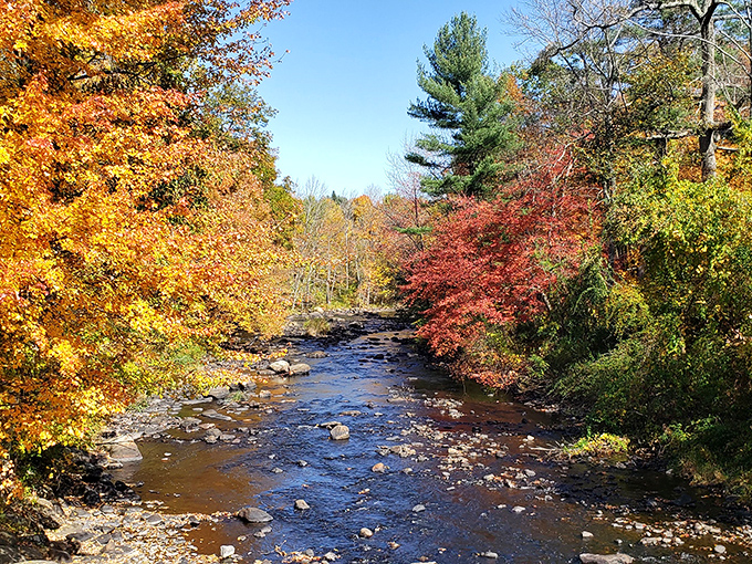 Autumn's paintbrush turns the Ware River valley into a masterpiece of crimson and gold around the bridge.