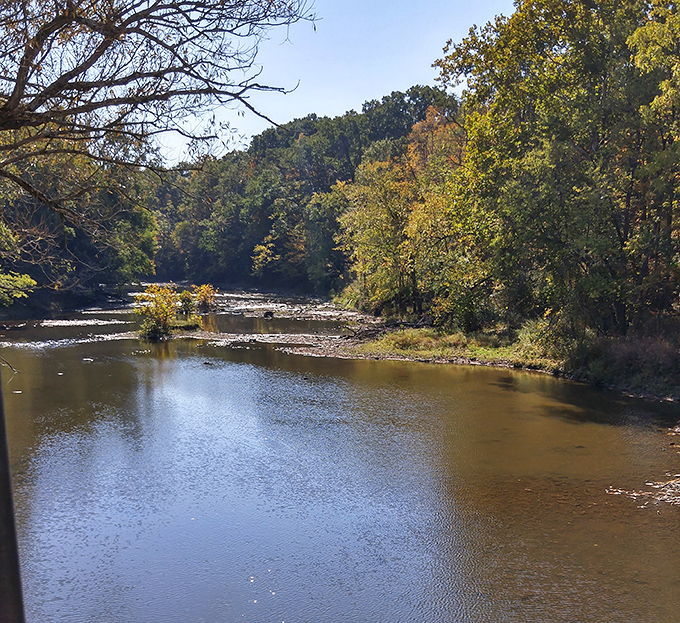 The gentle current of the Grand River reflects the surrounding forest, creating a mirror image that doubles the beauty of this peaceful spot. 
