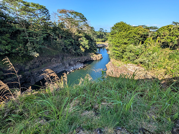 The river's blue waters cut through volcanic rock like nature's highway. Millions of years of patient erosion created this masterpiece of geological engineering.