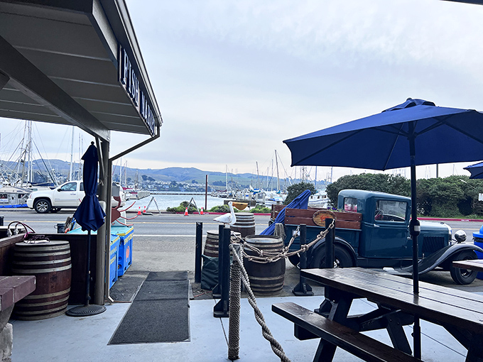 The view from your picnic table &ndash; fishing boats, harbor activity, and the promise of more seafood adventures to come.