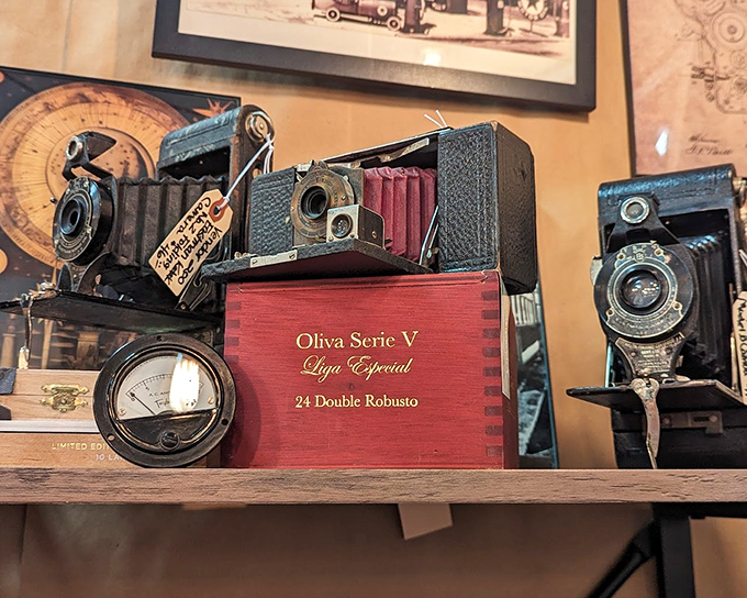 Vintage cameras that once captured family memories now wait for new admirers who appreciate mechanical artistry in our digital age.