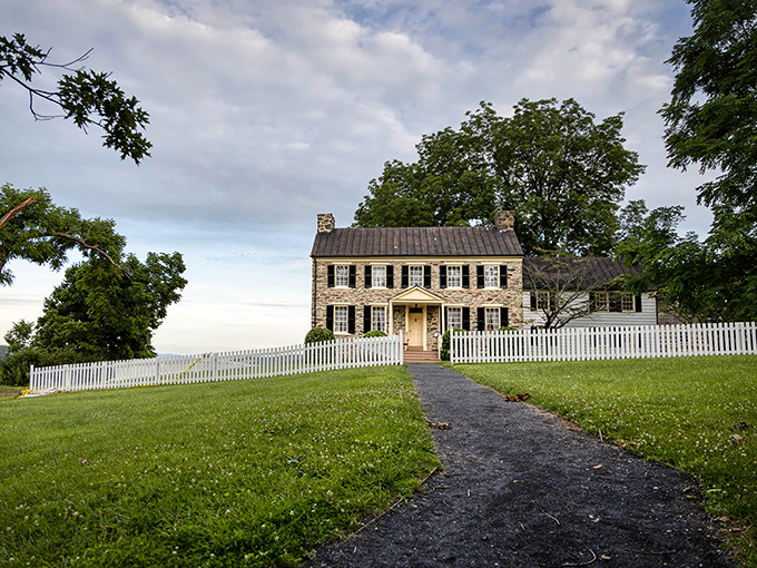 Mount Bleak House wears its history like a perfectly aged leather jacket &ndash; dignified, weathered, and impossibly cool.
