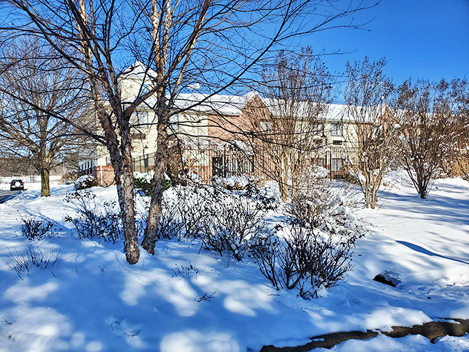 Winter transforms Denton into a snow-covered postcard, proving that seasonal charm doesn't discriminate between wealthy enclaves and affordable small towns.