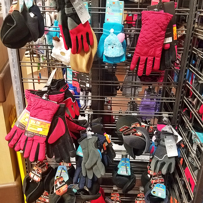 Winter gloves bloom like strange flowers, because Michigan winters don't care about matching pairs.