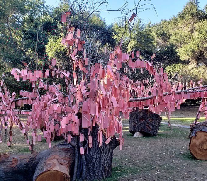 The wishing tree collects dreams and hopes from visitors, proving that people still believe in making wishes come true.